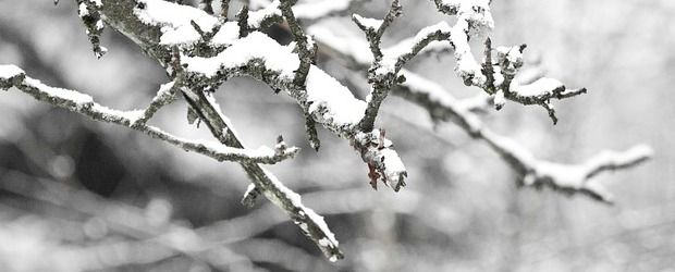 snow | Seaforth Elementary School